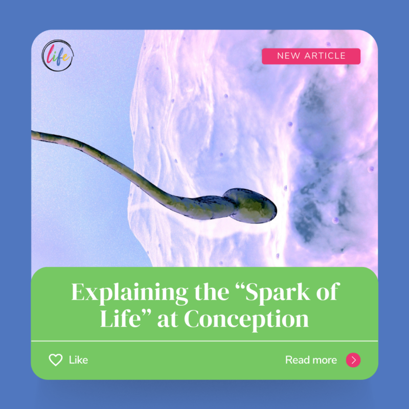 Explaining the “Spark of Life” at Conception