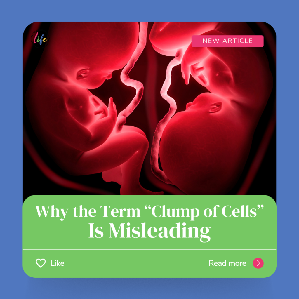 Why the Term “Clump of Cells” Is Misleading