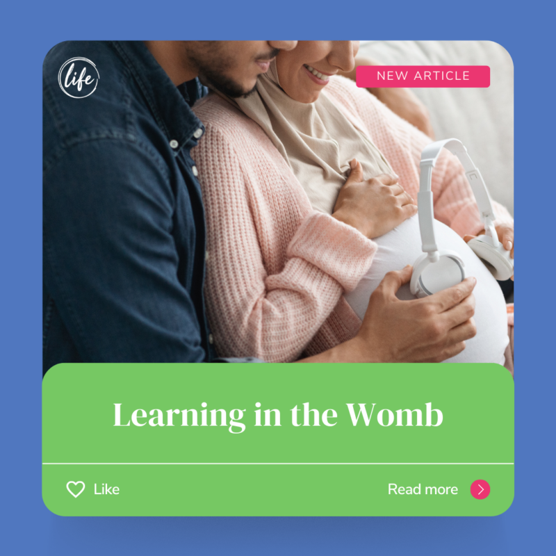 Learning in the Womb - When Does Life Begin?
